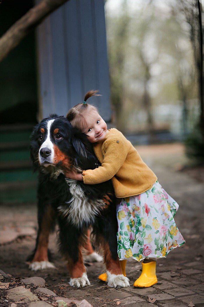 What Is A Dog's Favorite Color? Everything You Need to Know!