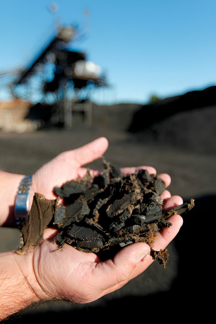 Is Rubber Mulch Safe For Dogs? Must-See Secrets!