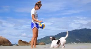 What Is A Dog's Favorite Color? Everything You Need to Know!