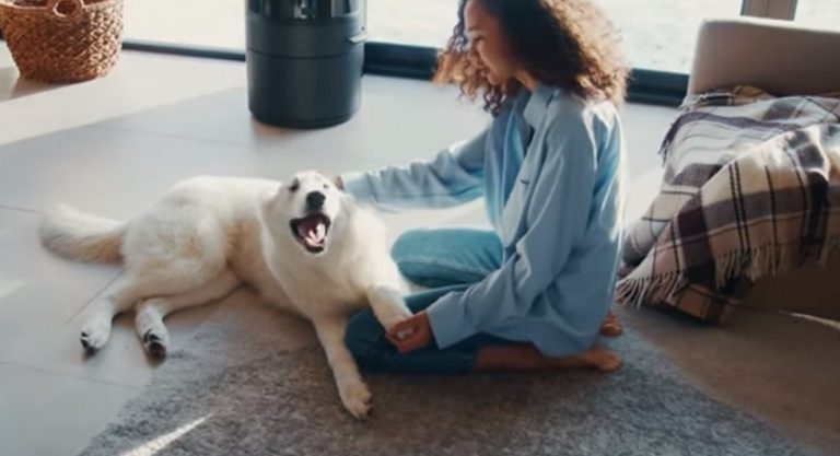 Why Does My Dog Push Against Me? Expert Advice for Pet Owners!