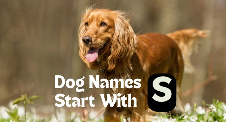 200 Popular Dog Names That Start With G