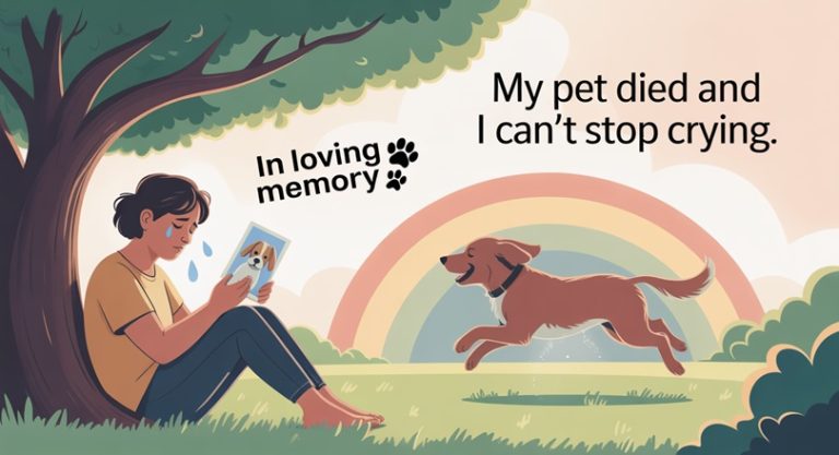 My Pet Died and I Can’t Stop Crying - [Nature of Pets]