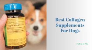 Top 8 Best Collagen Supplements For Dogs – Top Picks Of 2026 - [Nature ...