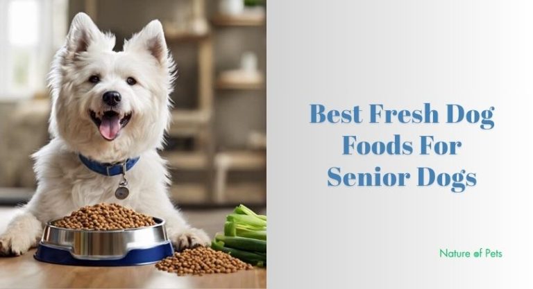 The 10 Best Fresh Dog Foods For Senior Dogs 2026: Top Picks - [Nature ...