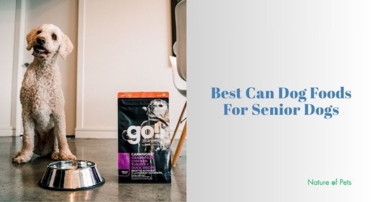 10 Best Can Dog Foods For Senior Dogs 2026, According to Experts ...