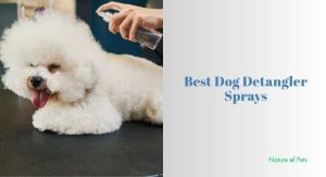 Top 10 Best Dog Detangler Sprays (2026), Tested and Reviewed - [Nature ...