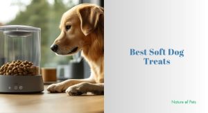 The 10 Best Soft Dog Treats 2026, According to Experts - [Nature of Pets]
