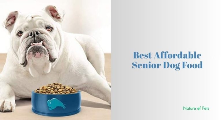 Our 8 Best Affordable Senior Dog Food 2026, According to Experts ...