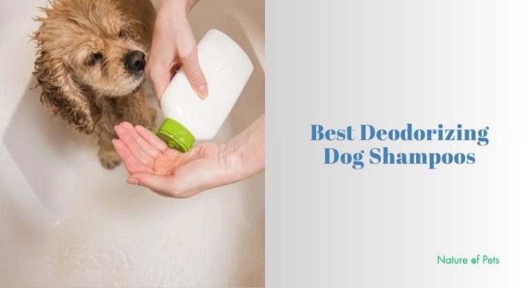 The 10 Best Deodorizing Dog Shampoos – Top Picks Of 2026 - [Nature of Pets]