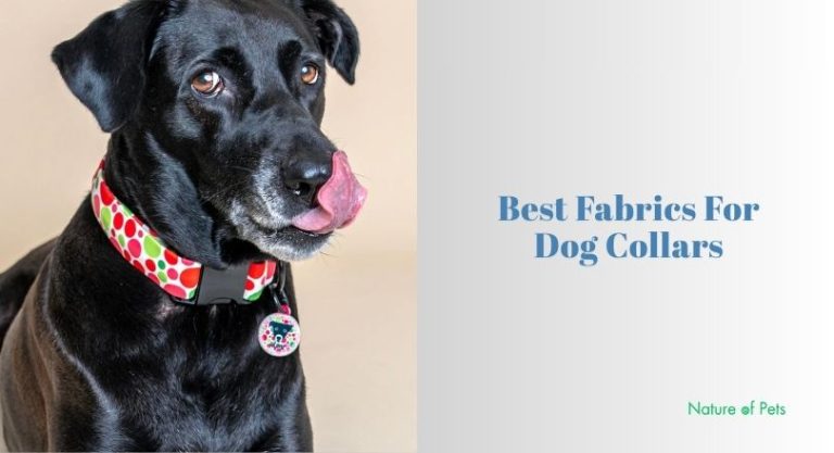 The 8 Best Fabrics For Dog Collars (2025), Tested and Reviewed ...