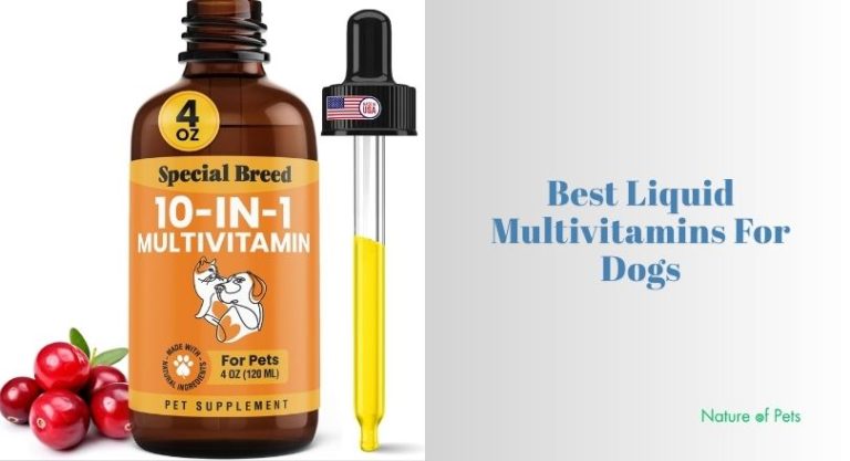 Top 8 Best Liquid Multivitamins For Dogs In 2026 - [Nature of Pets]