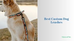 The 10 Best Custom Dog Leashes In 2025 - [Nature of Pets]