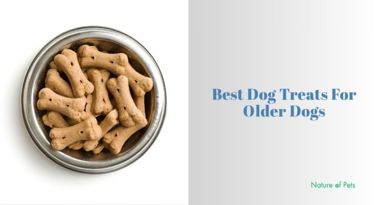 Our 10 Best Dog Treats For Older Dogs Of 2026 - [Nature of Pets]
