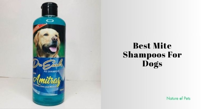 The 10 Best Mite Shampoos For Dogs 2026: Top Picks - [Nature of Pets]