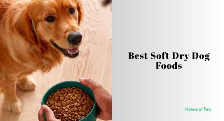 The 10 Best Soft Dry Dog Foods (2026), Tested and Reviewed - [Nature of ...