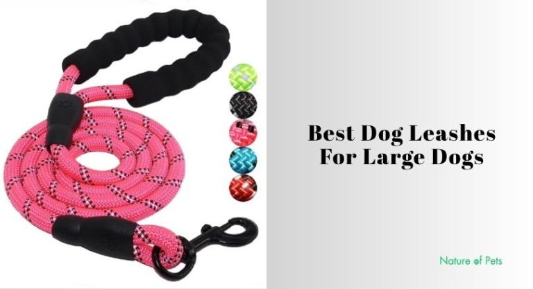 10 Best Dog Leashes For Large Dogs 2026: Top Picks - [Nature of Pets]