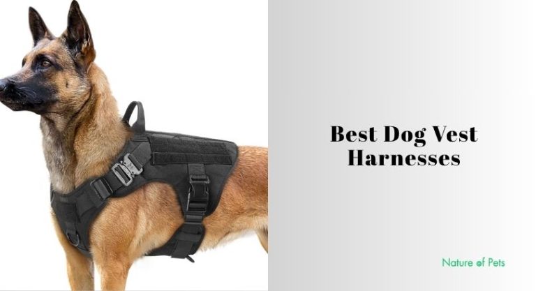 The 8 Best Dog Vest Harnesses Of 2026 - [Nature of Pets]