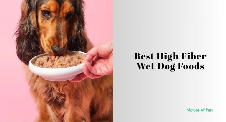 The 10 Best High Fiber Wet Dog Foods (2026), Tested and Reviewed ...
