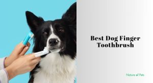 The 10 Best Dog Finger Toothbrush 2026: Top Picks - [Nature of Pets]