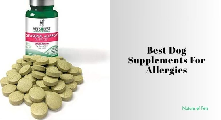 10 Best Dog Supplements For Allergies 2026, According to Experts ...