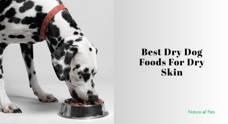Our 10 Best Dry Dog Foods For Dry Skin (2026), Tested and Reviewed ...