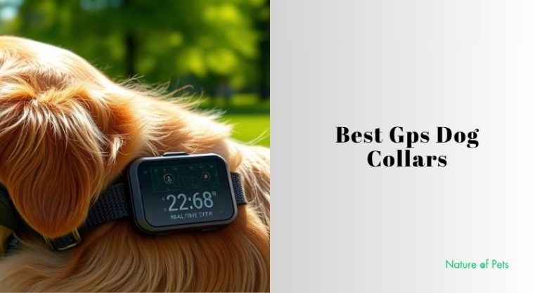 10 Best Gps Dog Collars – Top Picks Of 2026 - [Nature of Pets]