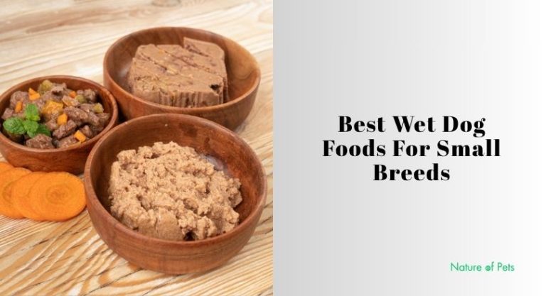 10 Best Wet Dog Foods For Small Breeds Of 2026, Tested by Experts ...